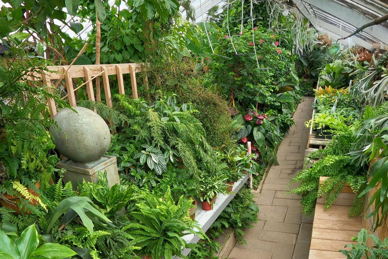 Logee's Retail Store - Specials for October 2025 - Come visit us ...