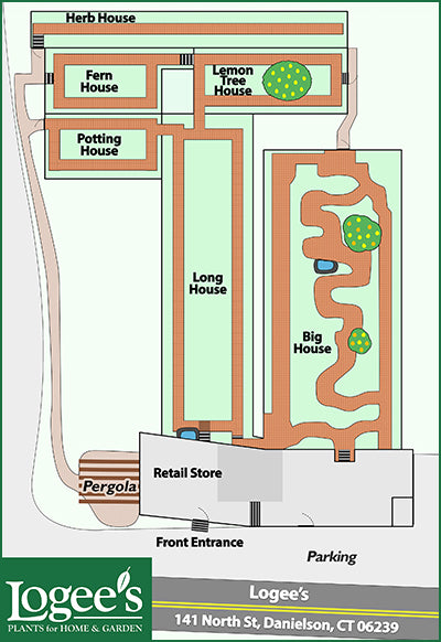Plan Your Visit – Logee's Plants