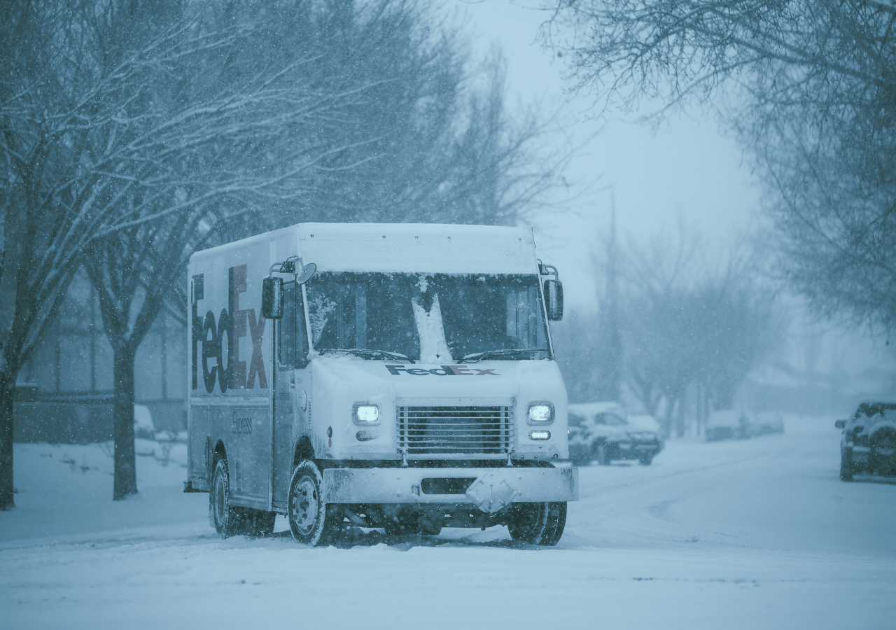 Cold Weather Shipping – Logee's Plants