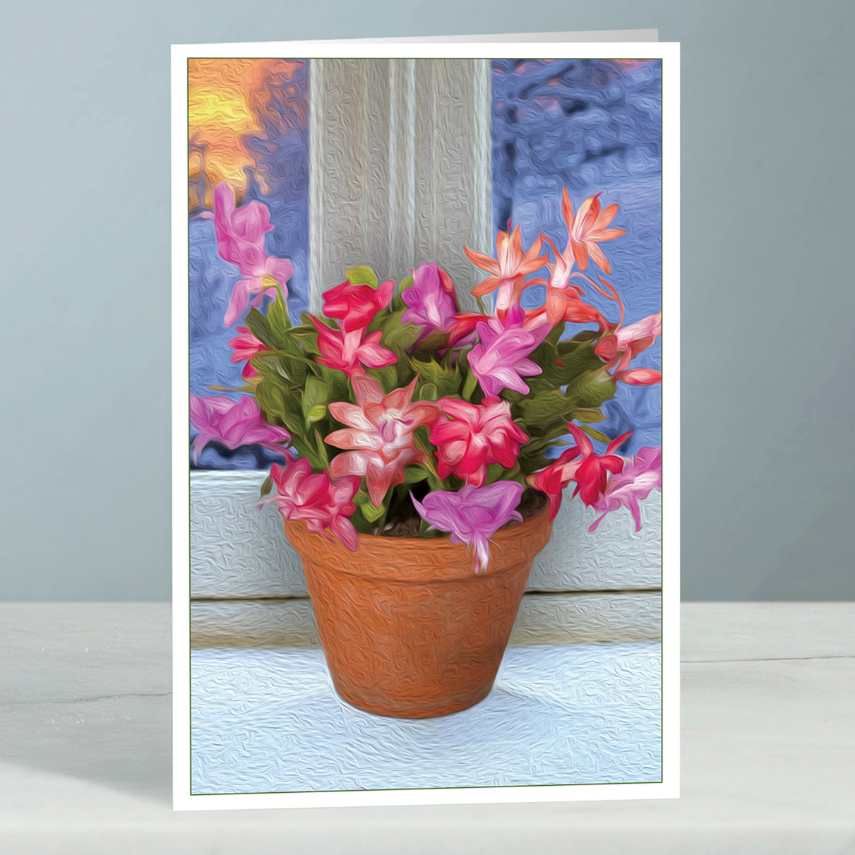 How to Care For a Desert Rose (Adenium) – Logee's Plants